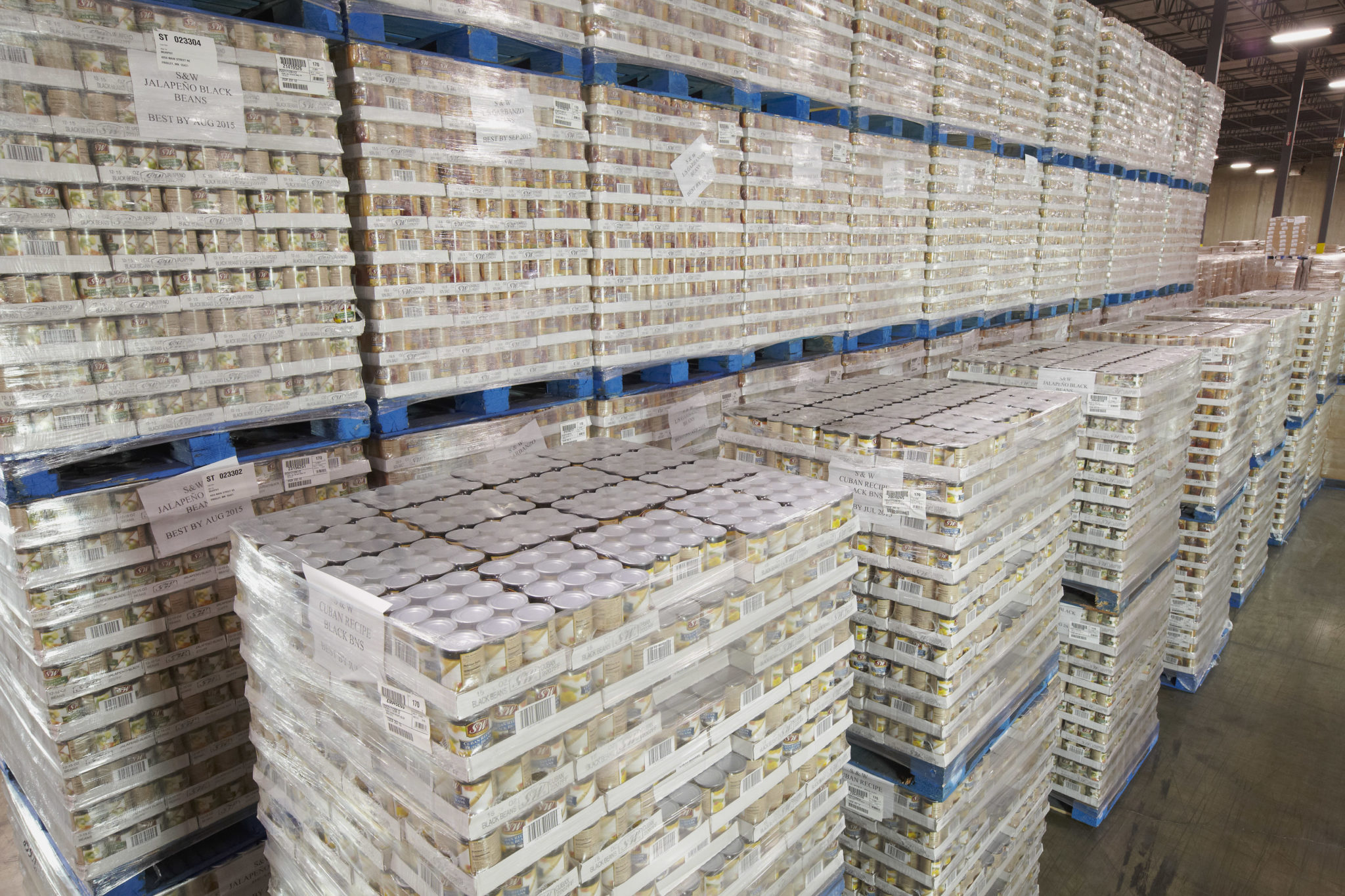 What is an asset based carrier and can it improve your logistics?