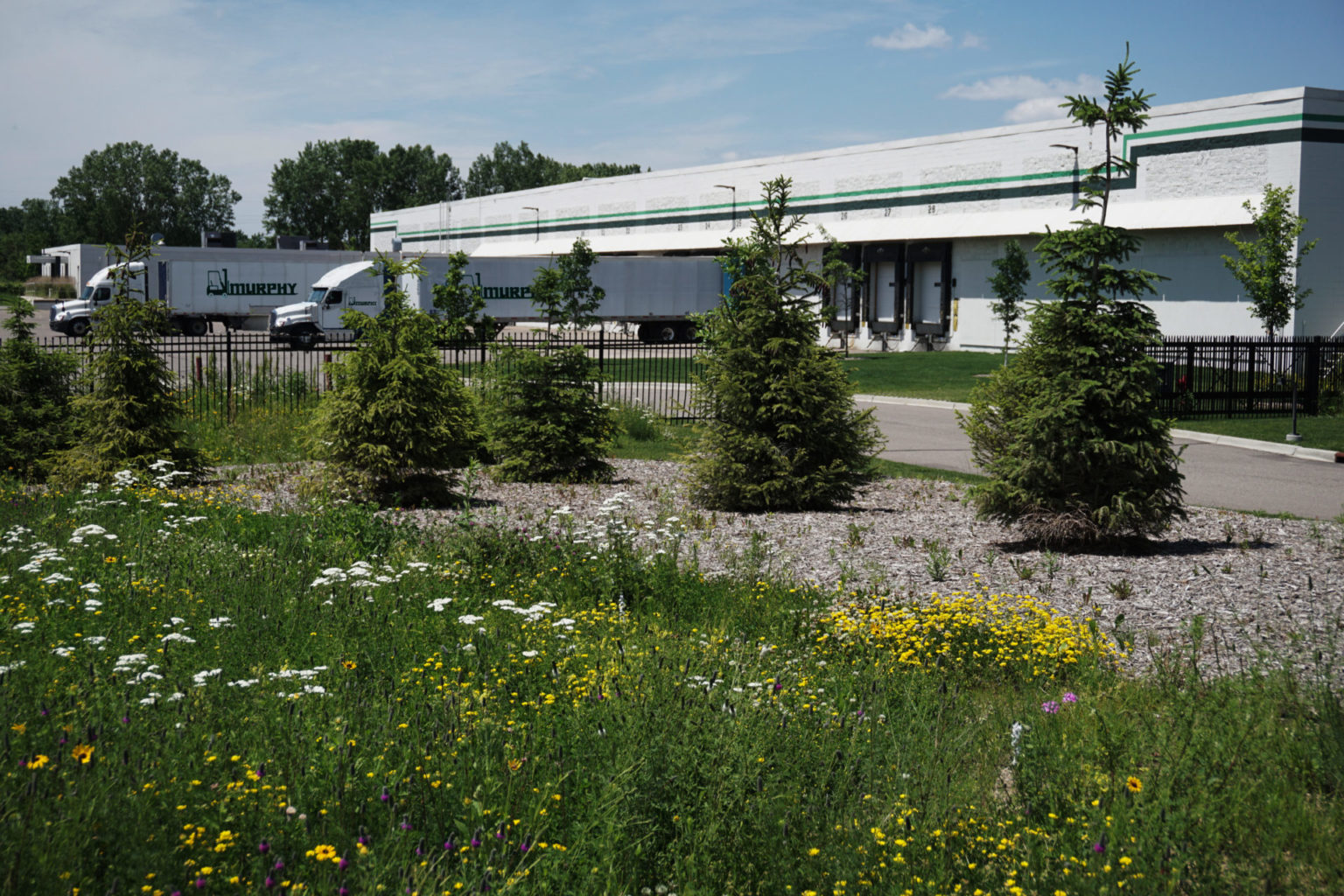 How Does Custom Distribution Work for Personalized Logistics